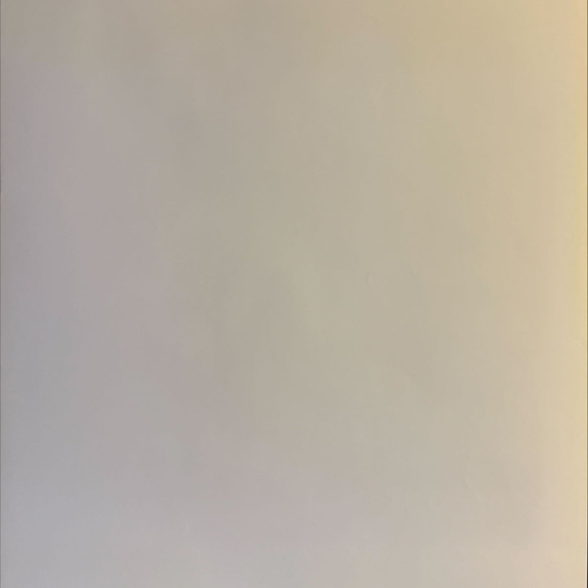 "Irving Penn × Issey Miyake (1988) - Tan Outfit Poster", Japanese Cont – Japan Poster Shop